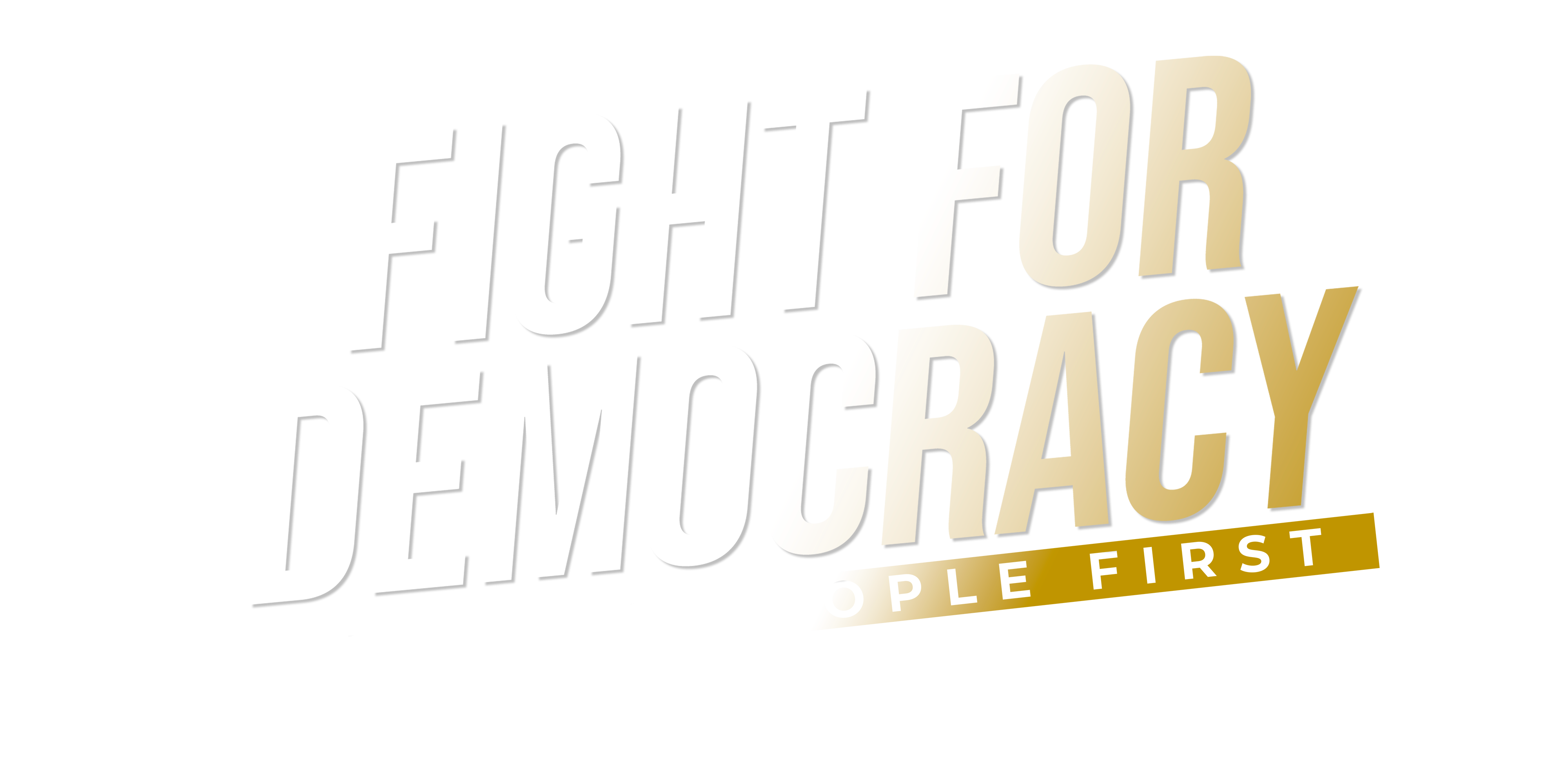2024 The Fight For Democracy